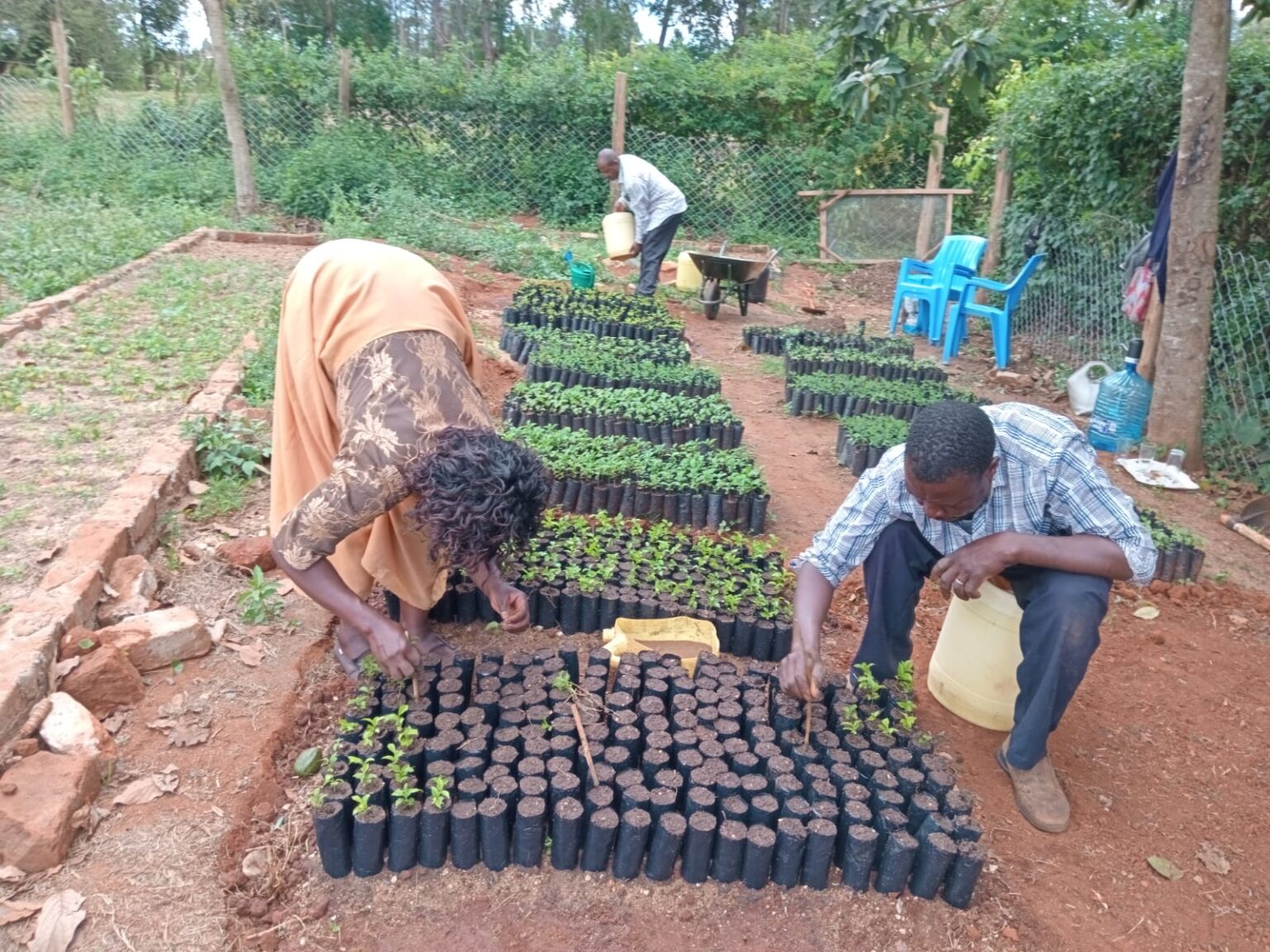 CARITAS – Catholic Diocese of Kitale
